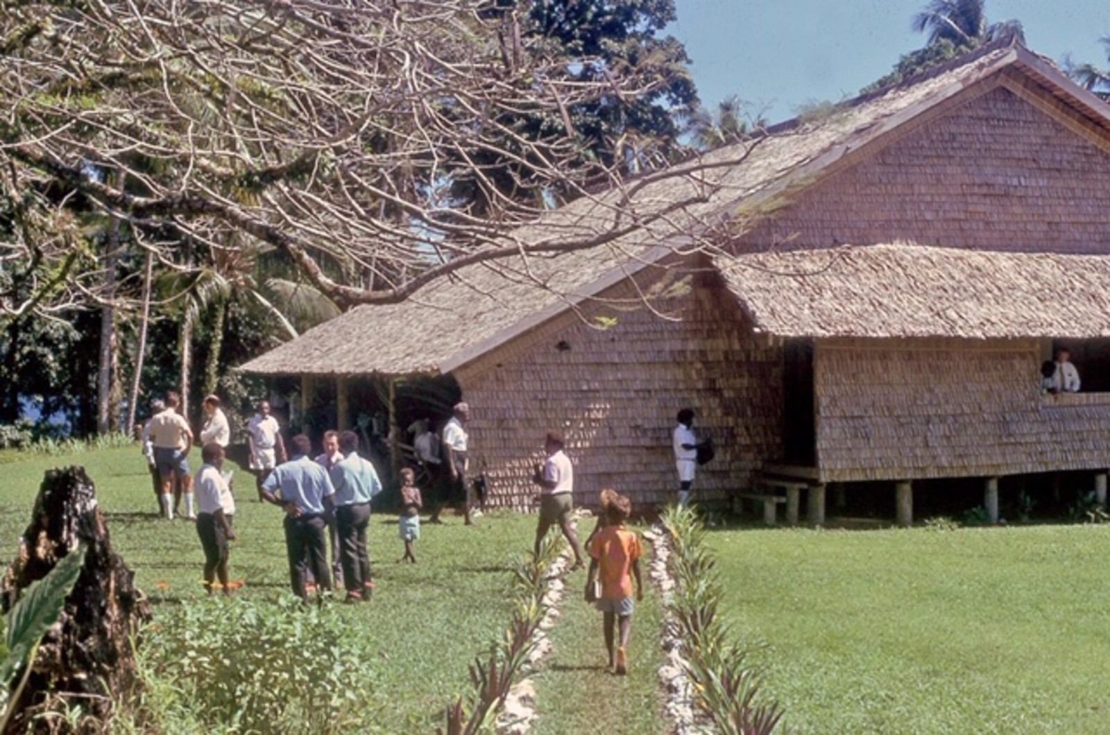 ESDA | Batuna Training School, Solomon Islands