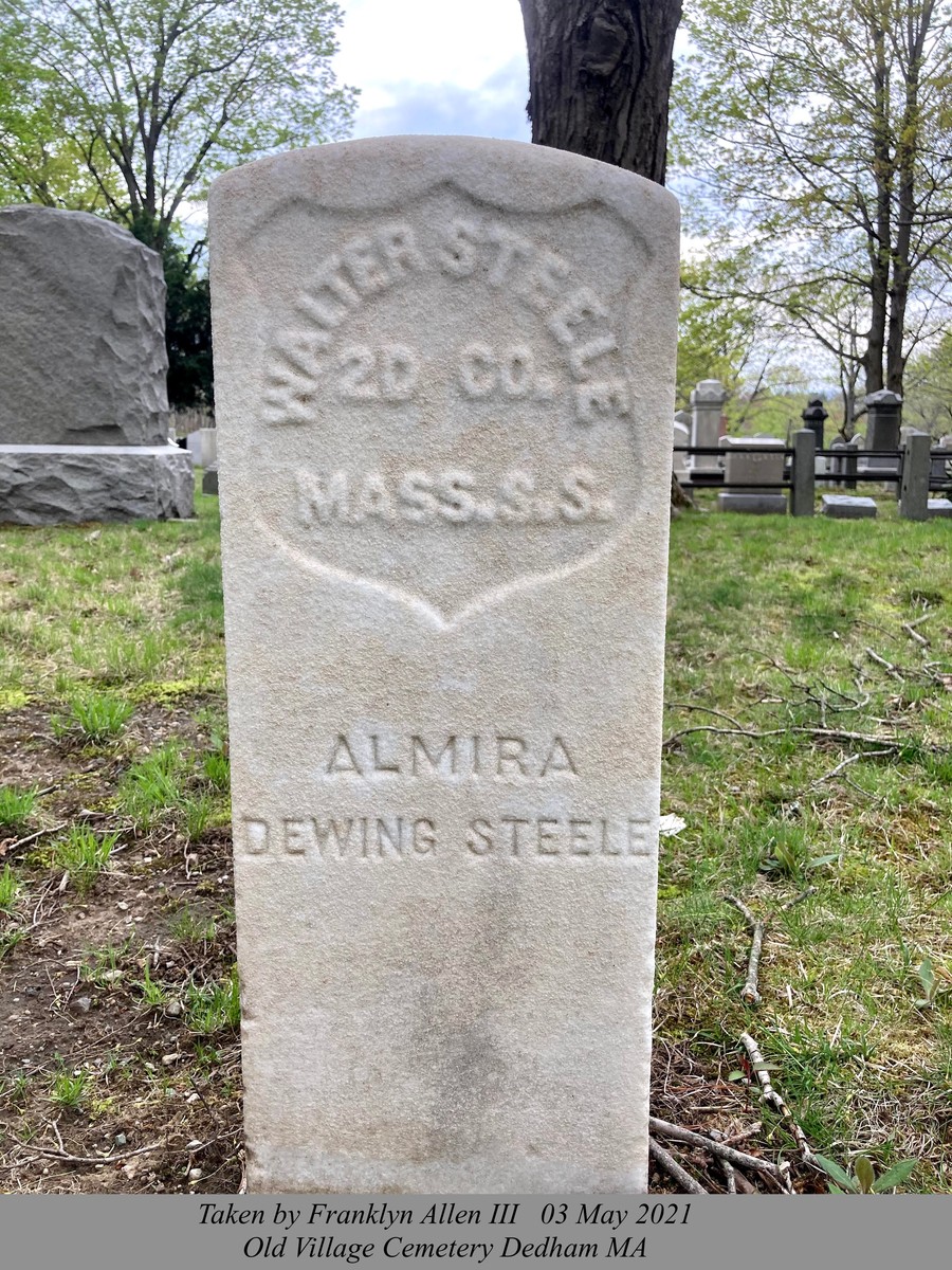 ESDA | Steele, Almira Sylvester Dewing (1842–1925)