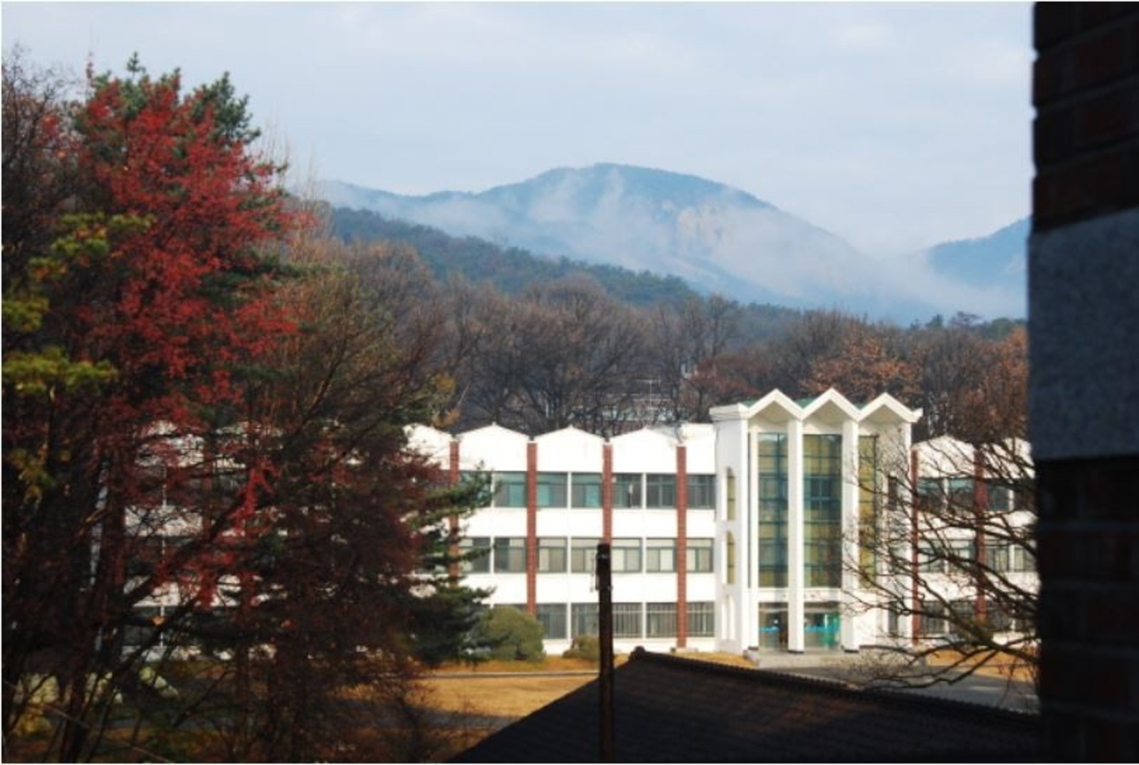 ESDA | Sahmyook University