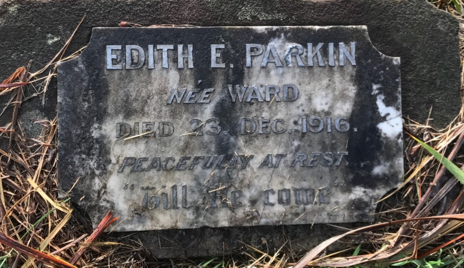 ESDA | Parkin, Edith Ellen (Ward) (1881–1916)