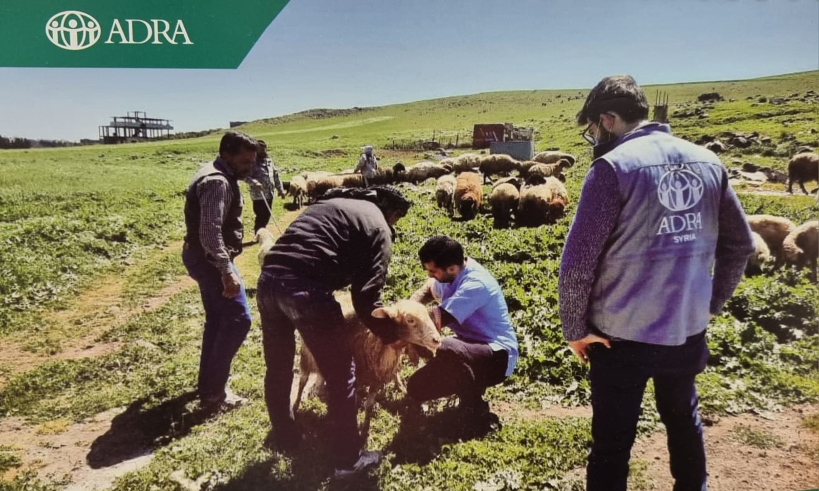 ESDA | ADRA MENA