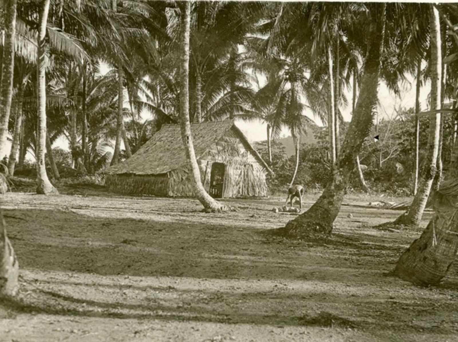 ESDA | Batuna Training School, Solomon Islands