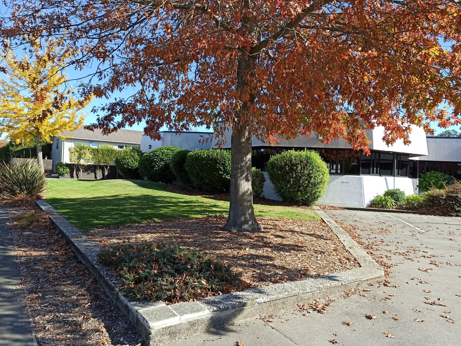 ESDA | Christchurch Adventist School, New Zealand