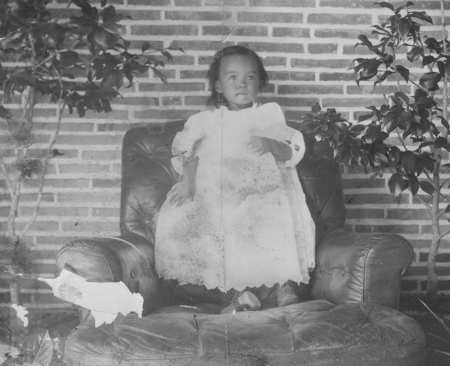 ESDA | Wilbur, Edwin H. (1869–1914) and Susan (Haskell) (1872–1965)