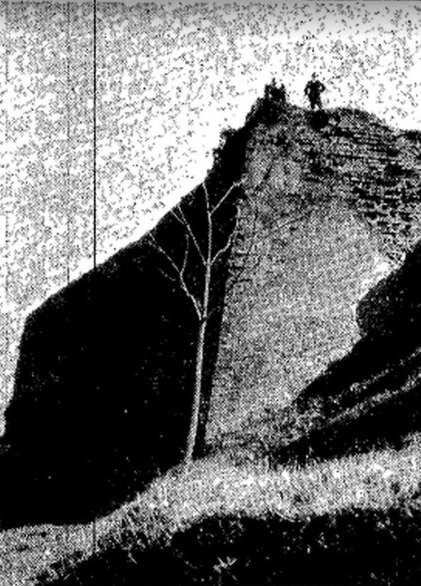 ESDA | Doolittle, Henry John (1890–1976) and Florence Jessie Delph ...