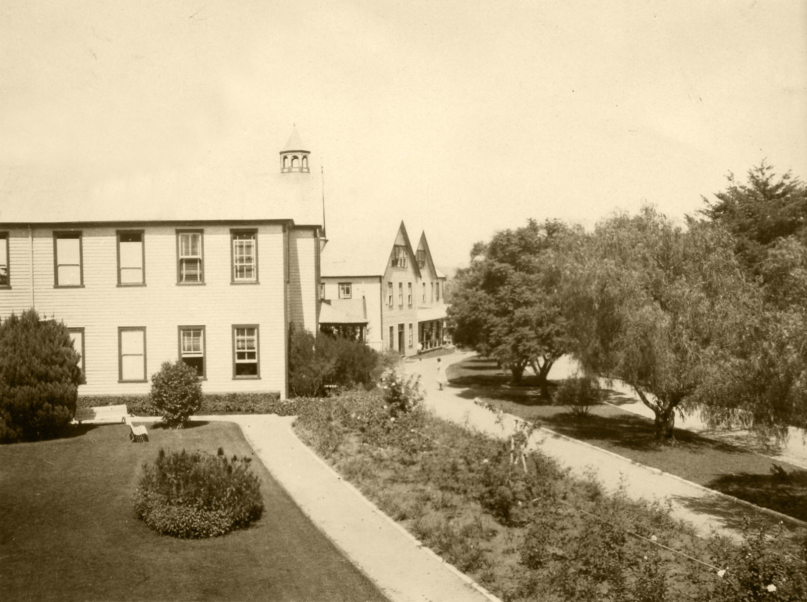 ESDA | Avondale University College, Australia