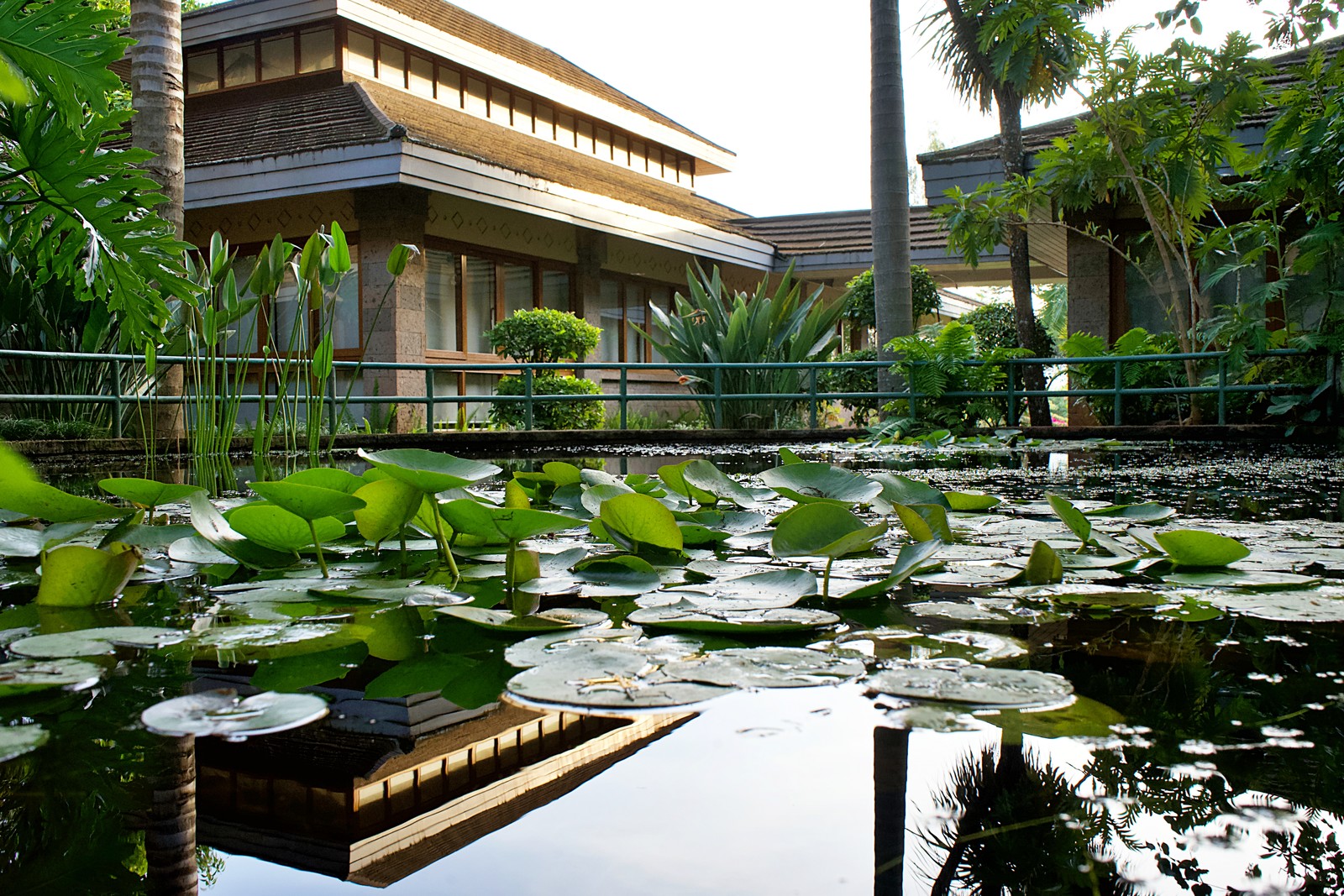 ESDA | East-Central Africa Division