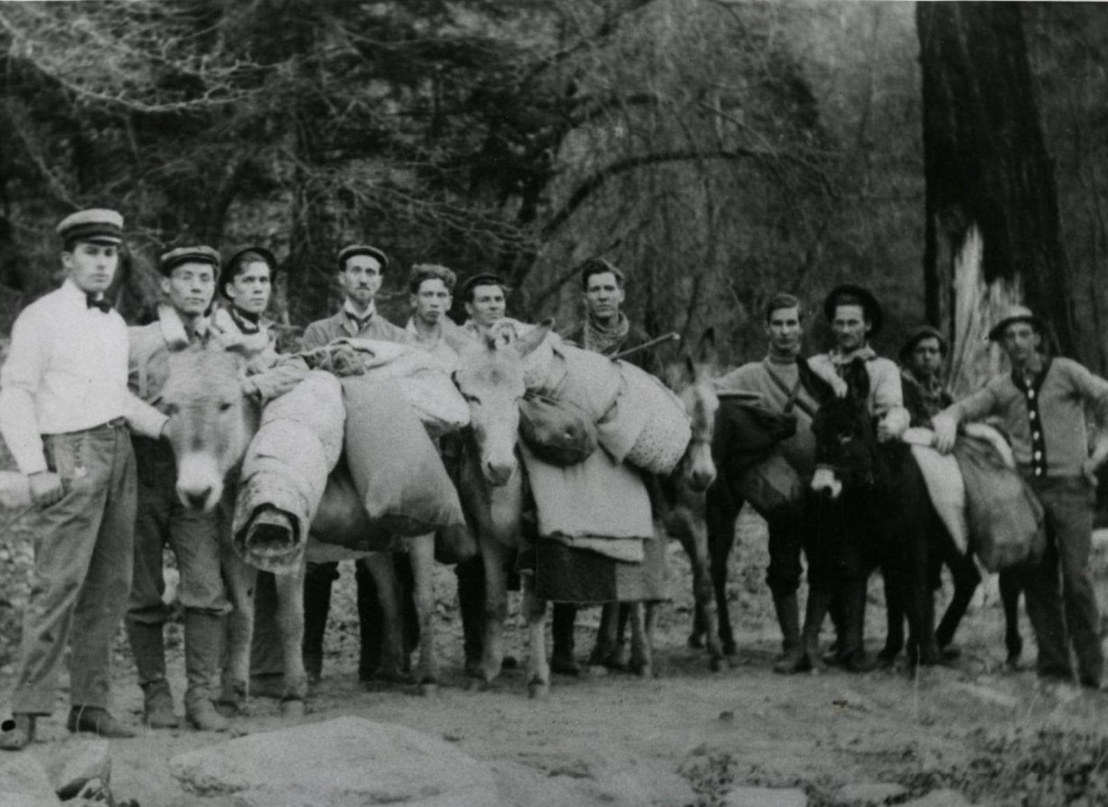 ESDA | Abbott, George Knapp (1880–1959) and Cora Mae (Richards) (1877–1953)