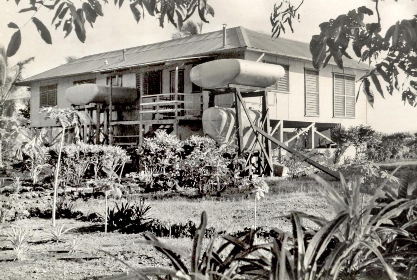 ESDA | Mussau, Emirau, and Tench Islands, Papua New Guinea