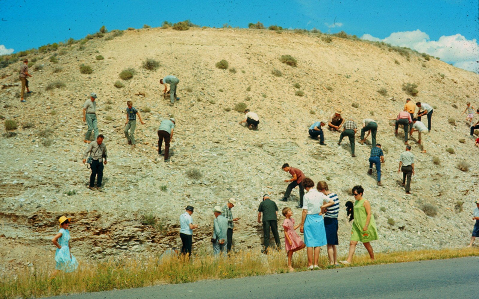 ESDA | Geoscience Research Institute