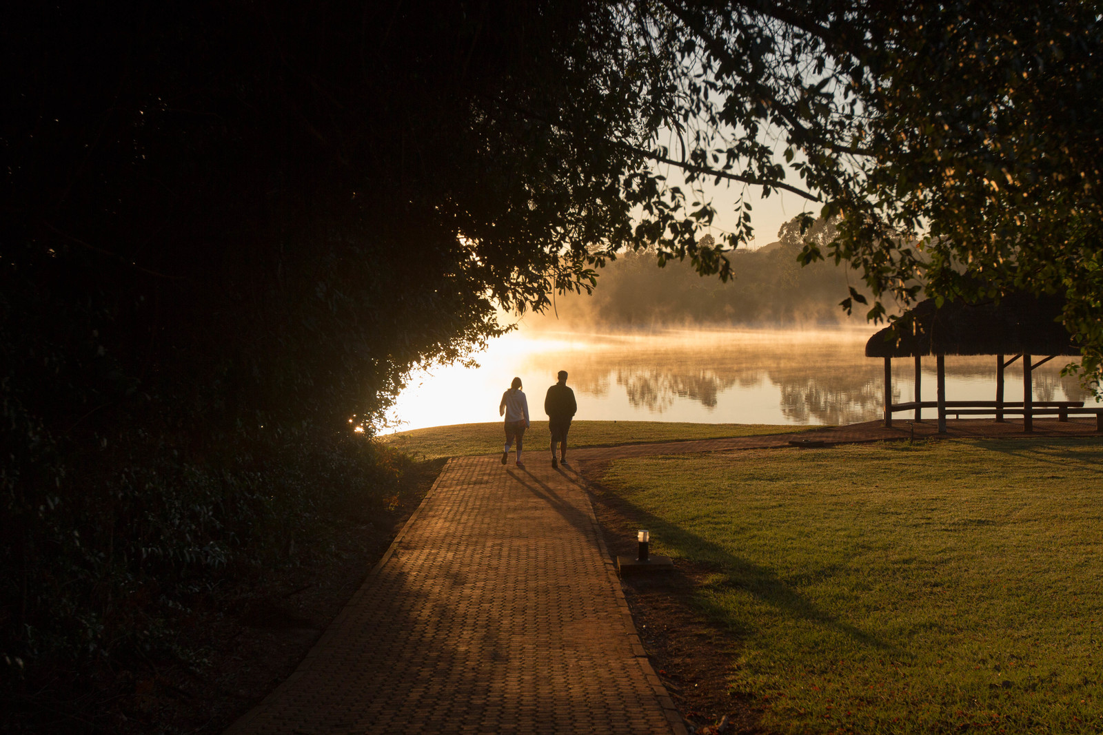 ESDA | Health Living Center (CEVISA)