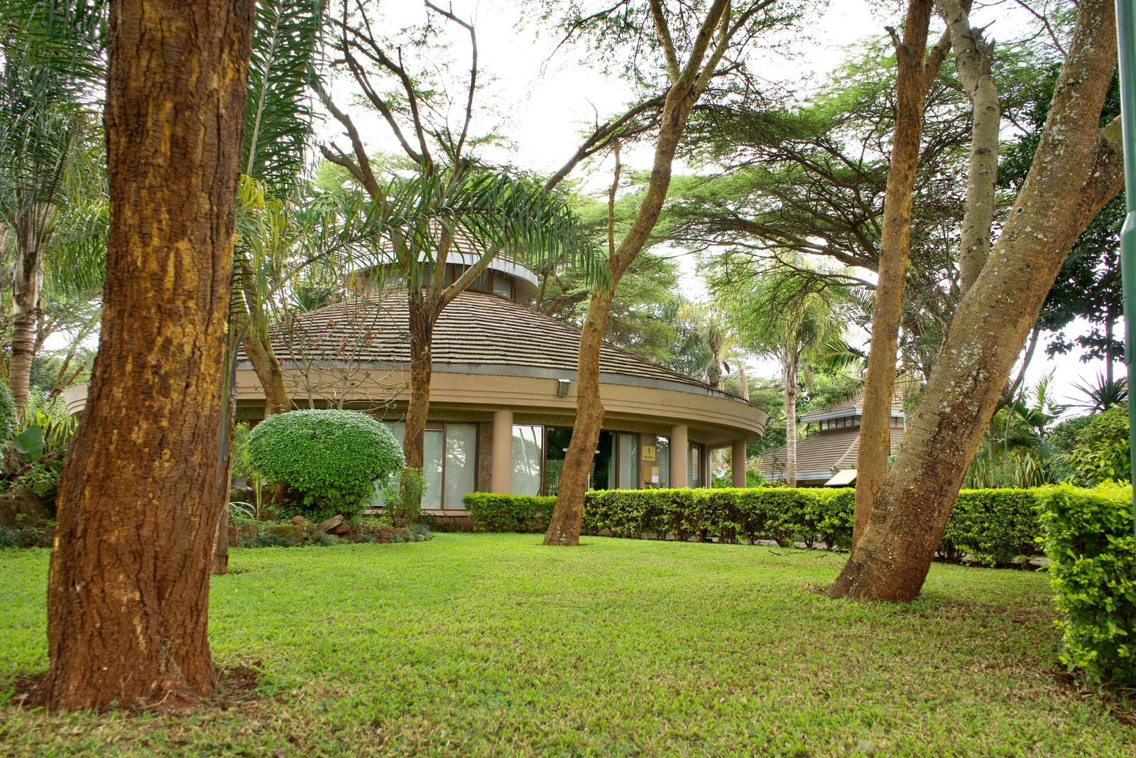 ESDA | East-Central Africa Division