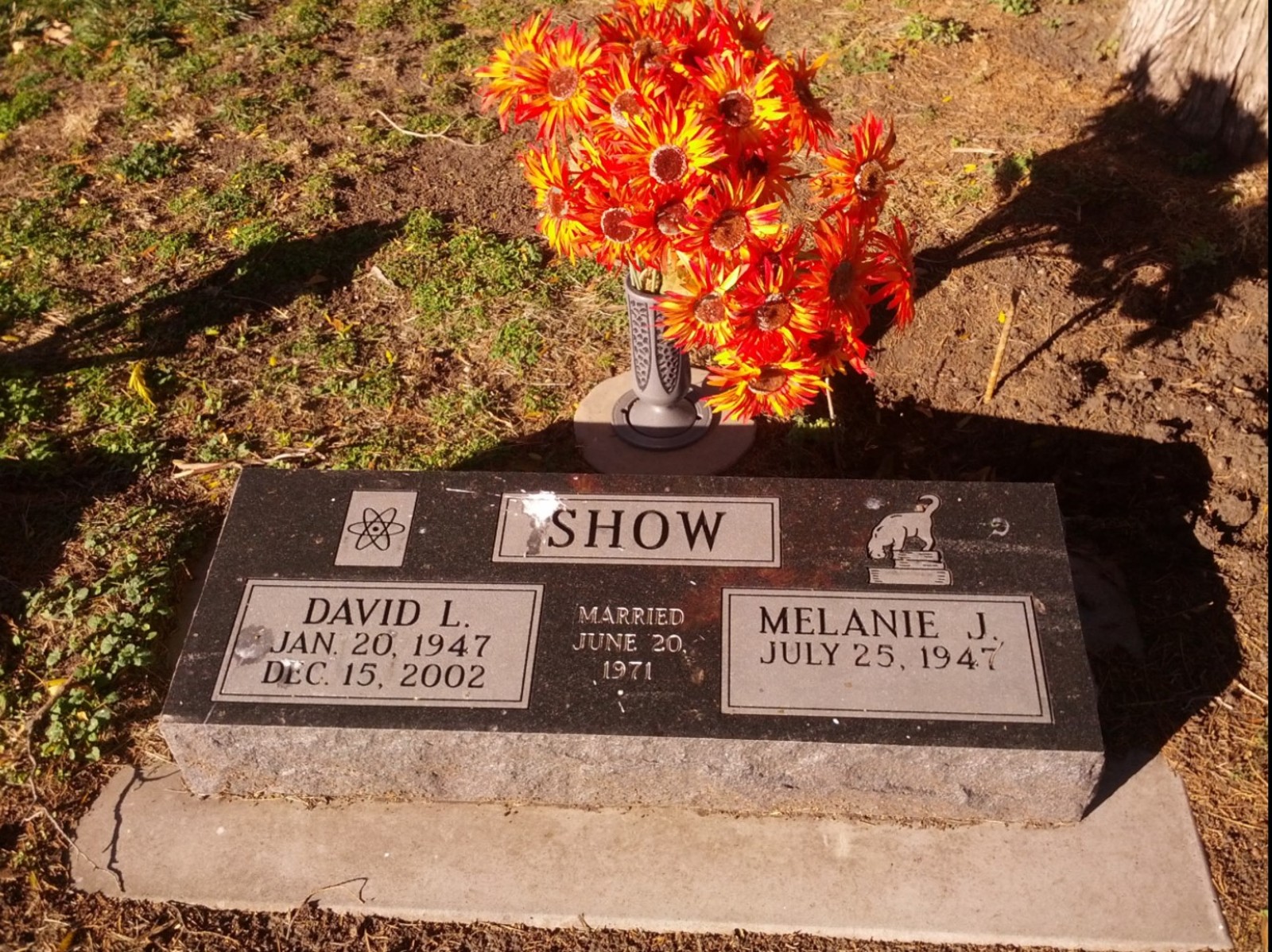 ESDA | Show, David Lawrence (1947–2002)