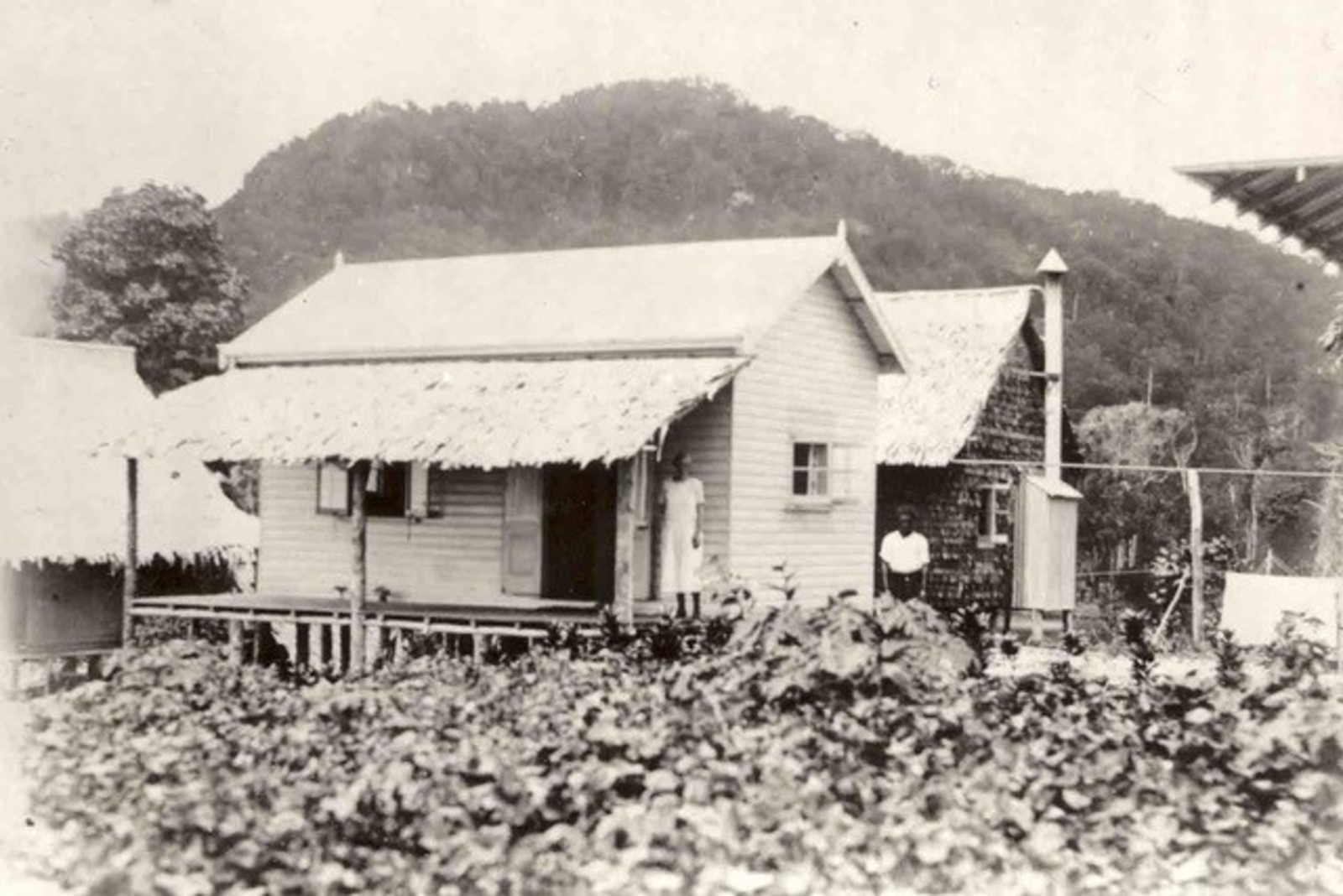 ESDA | Batuna Training School, Solomon Islands