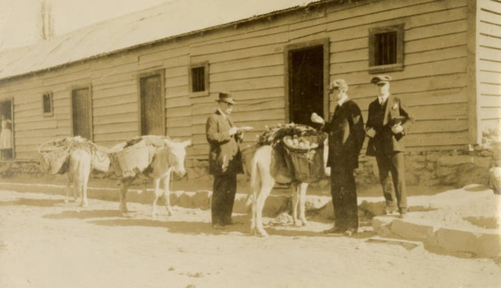 ESDA | Howell, Warren Eugene (1869–1943)