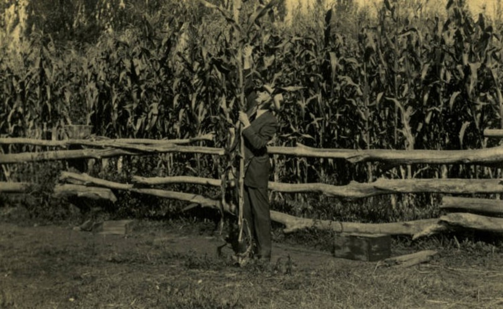 ESDA | Howell, Warren Eugene (1869–1943)