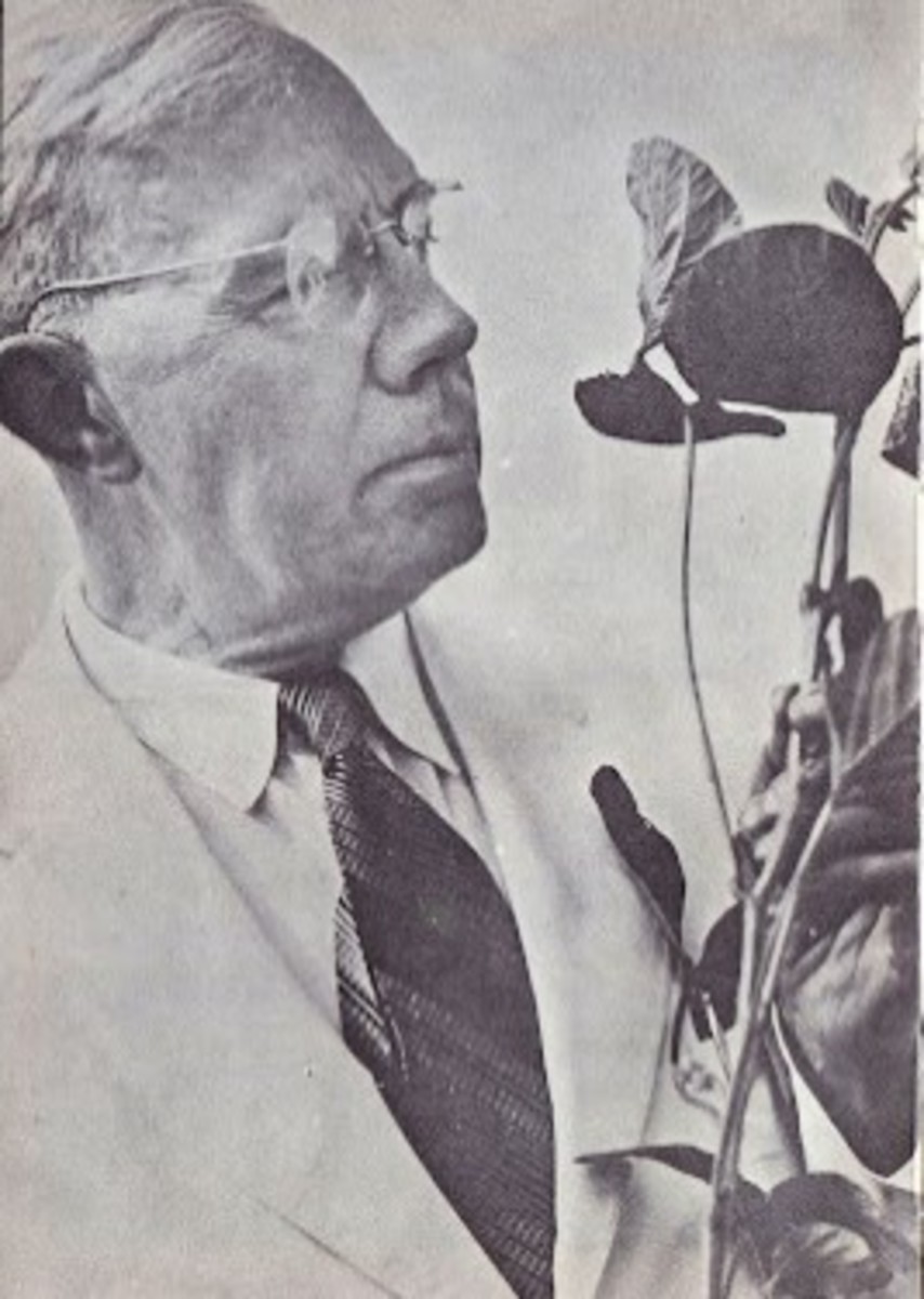 ESDA | Miller, Harry Willis (1879–1977) and Marie Elizabeth (Iverson ...