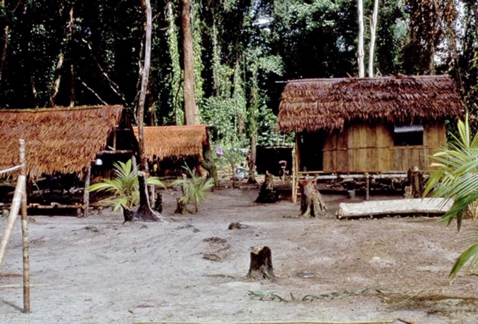 ESDA | Mussau, Emirau, and Tench Islands, Papua New Guinea